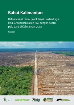 BABAT KALIMANTAN: Deforestasi di rantai pasok RGE Grup dan kaitan RGE ...